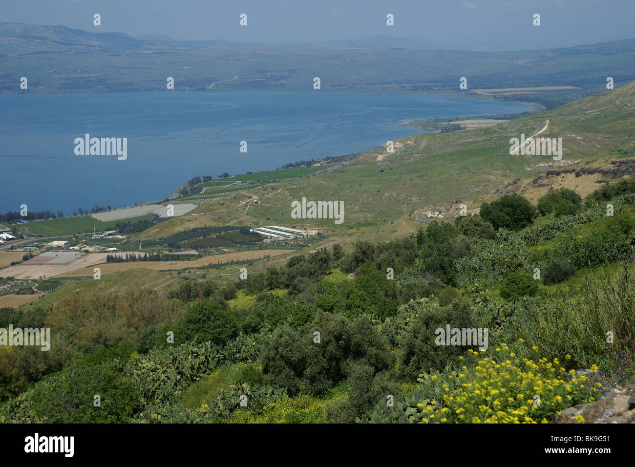 Sea of Galilee Stock Photo - Alamy