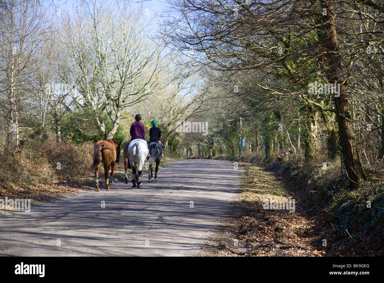 Horse riding on devon country lane hi-res stock photography and images ...