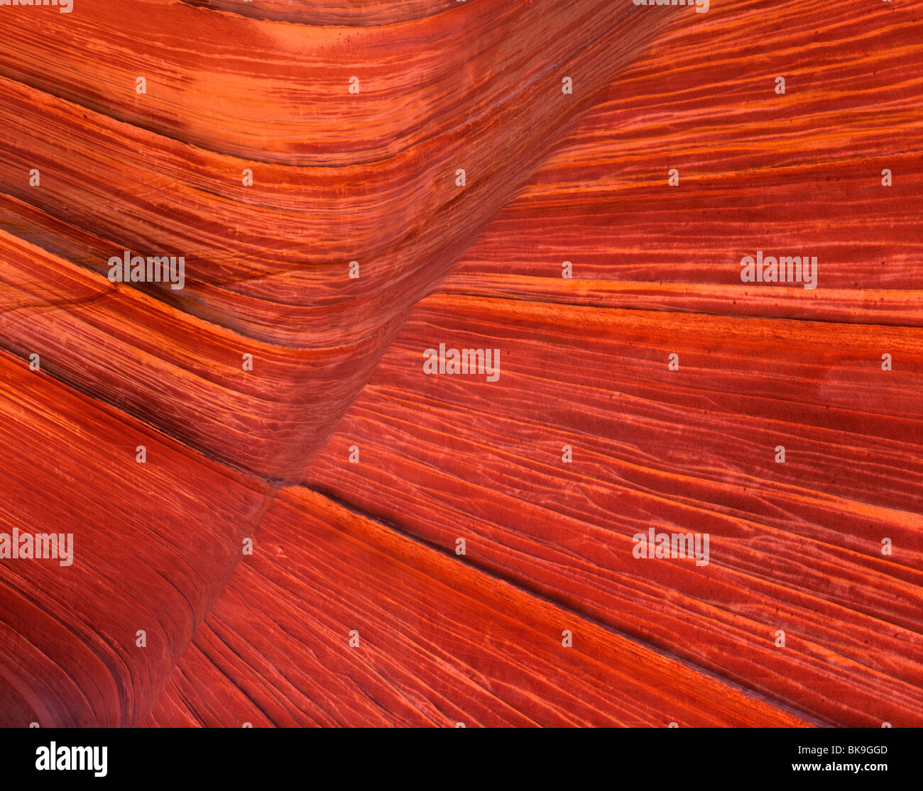 The Wave sandstone formation at Coyote Buttes USA Stock Photo - Alamy