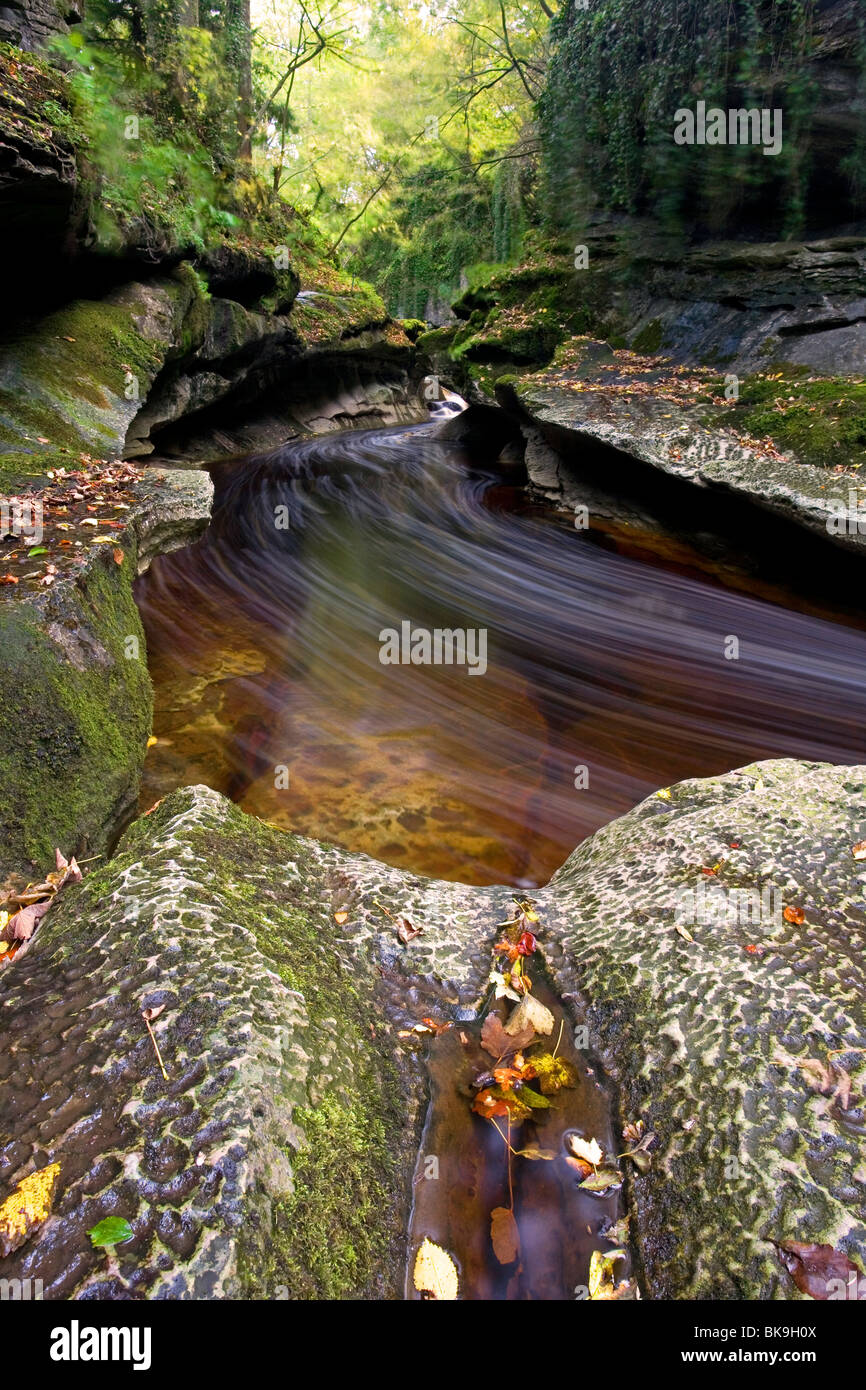 The How Stean Beck at How Stean Gorge, a spectacular Limestone Ravine ...