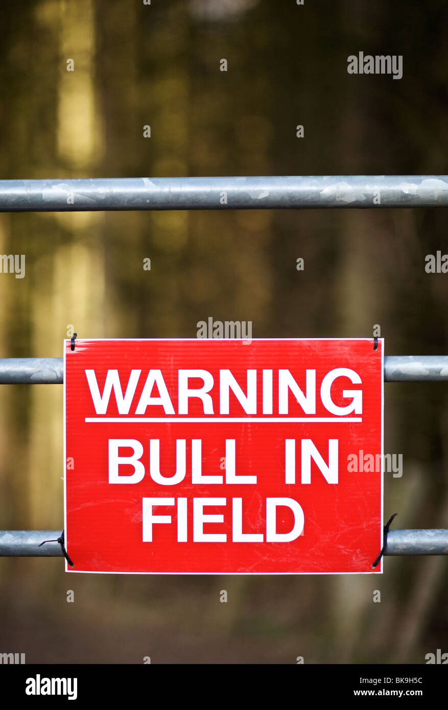 red "warning bull in field" sign on farm gate Stock Photo - Alamy