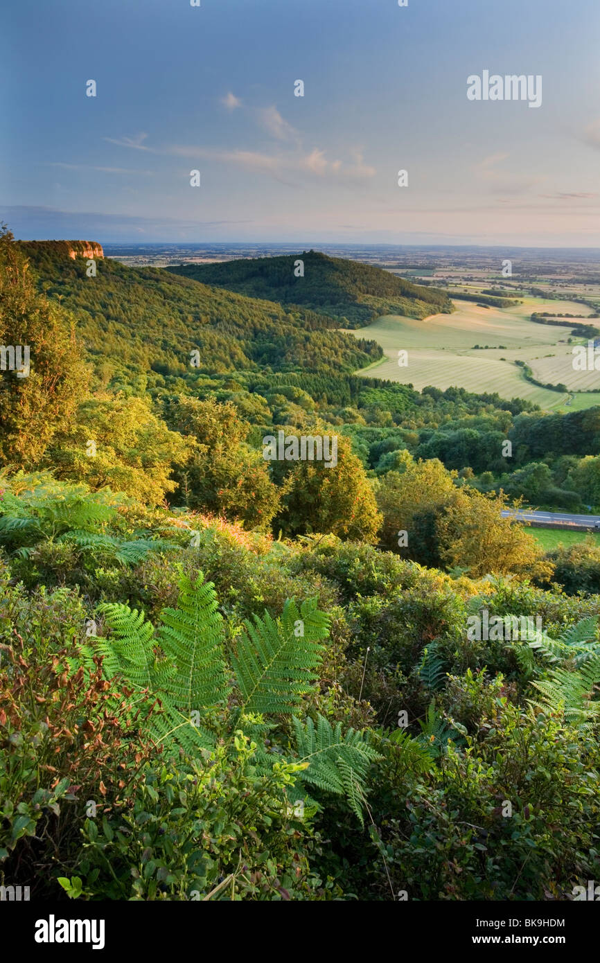 Sutton Bank looking towards Roulston Scar, Hood Hill and over The Vale ...