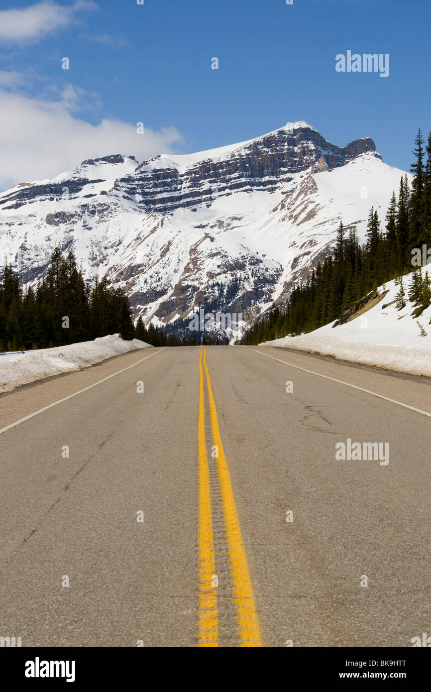 On the Icefields Parkway, Banff National Park Stock Photo - Alamy