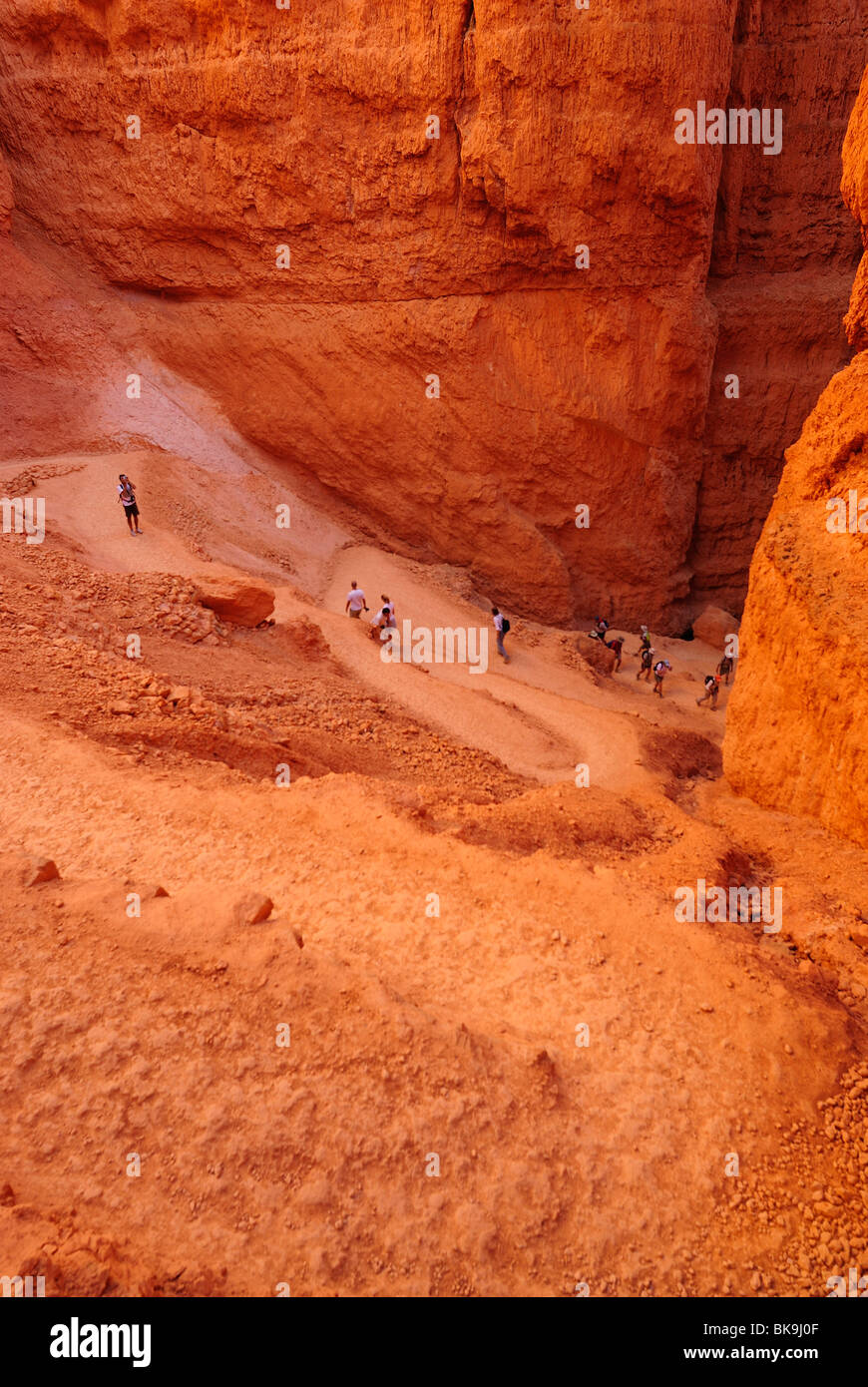 View navajo loop trail at bryce canyon hi-res stock photography and ...