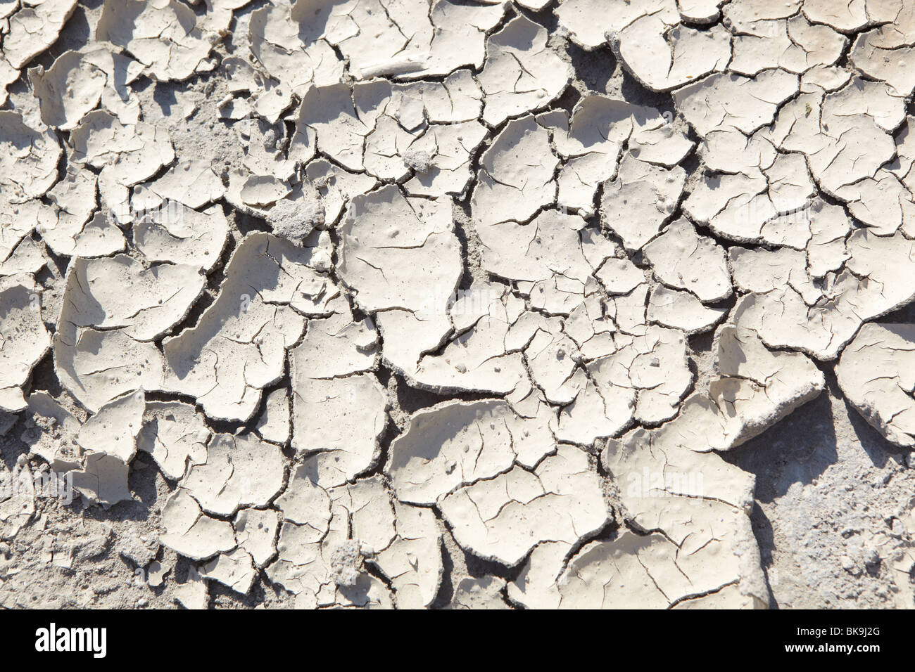 Dry Mud Texture