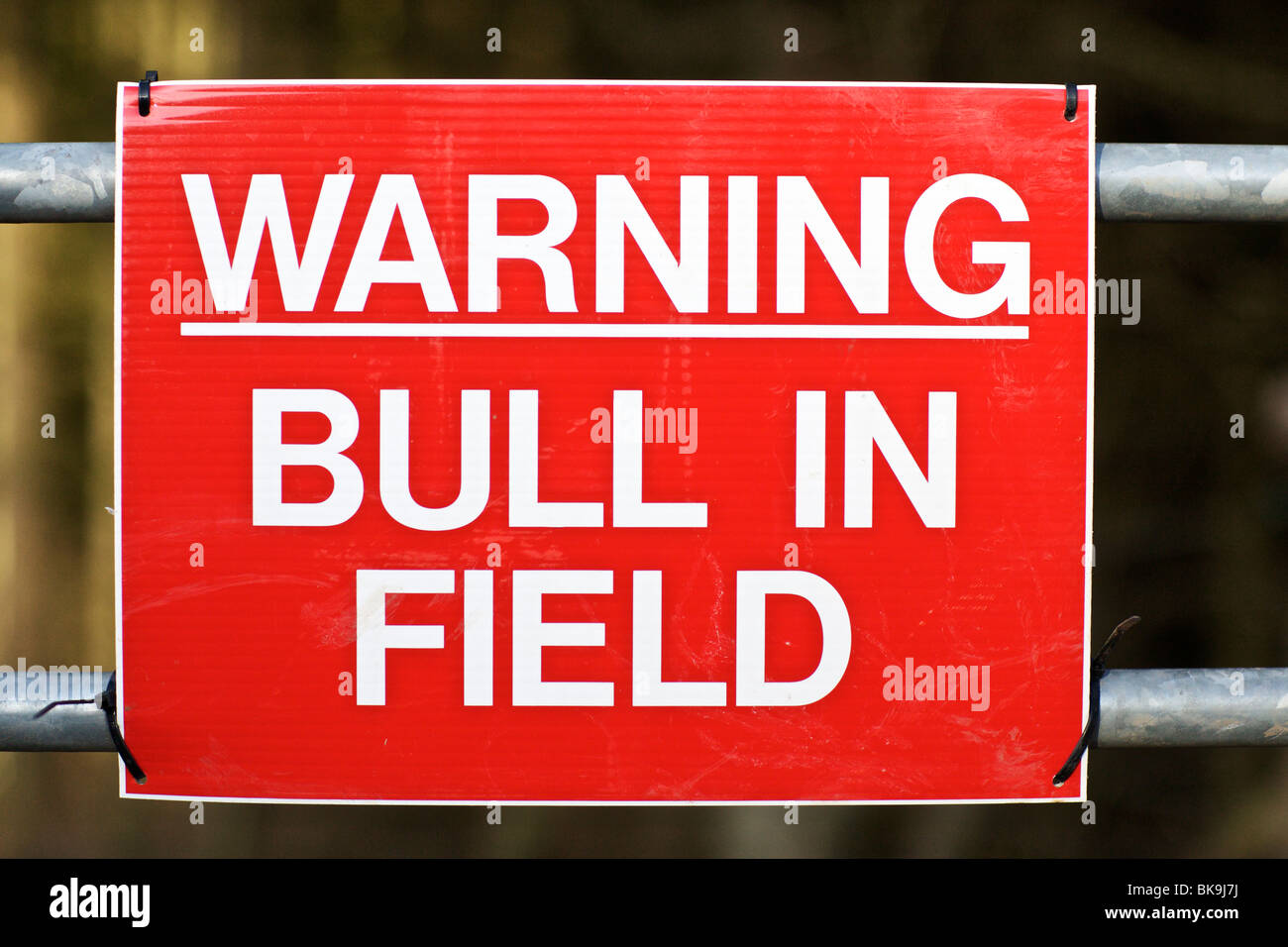 red "warning bull in field" sign on farm gate Stock Photo - Alamy