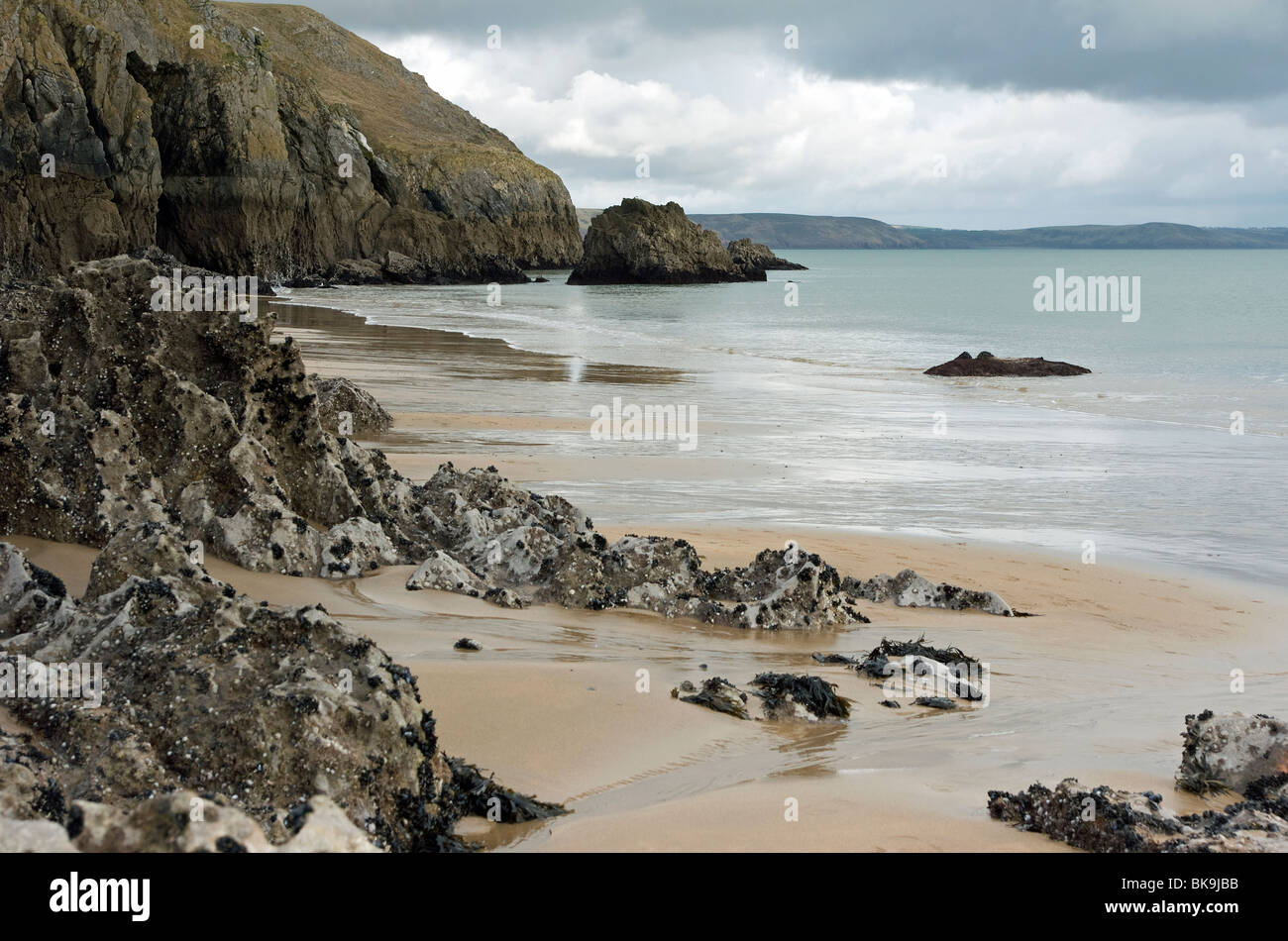 Barafundle Bay in Pembrokeshire West Wales Stock Photo - Alamy