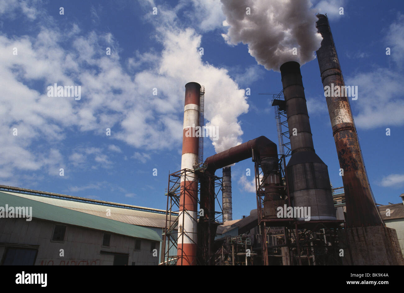 Puunene hi-res stock photography and images - Alamy
