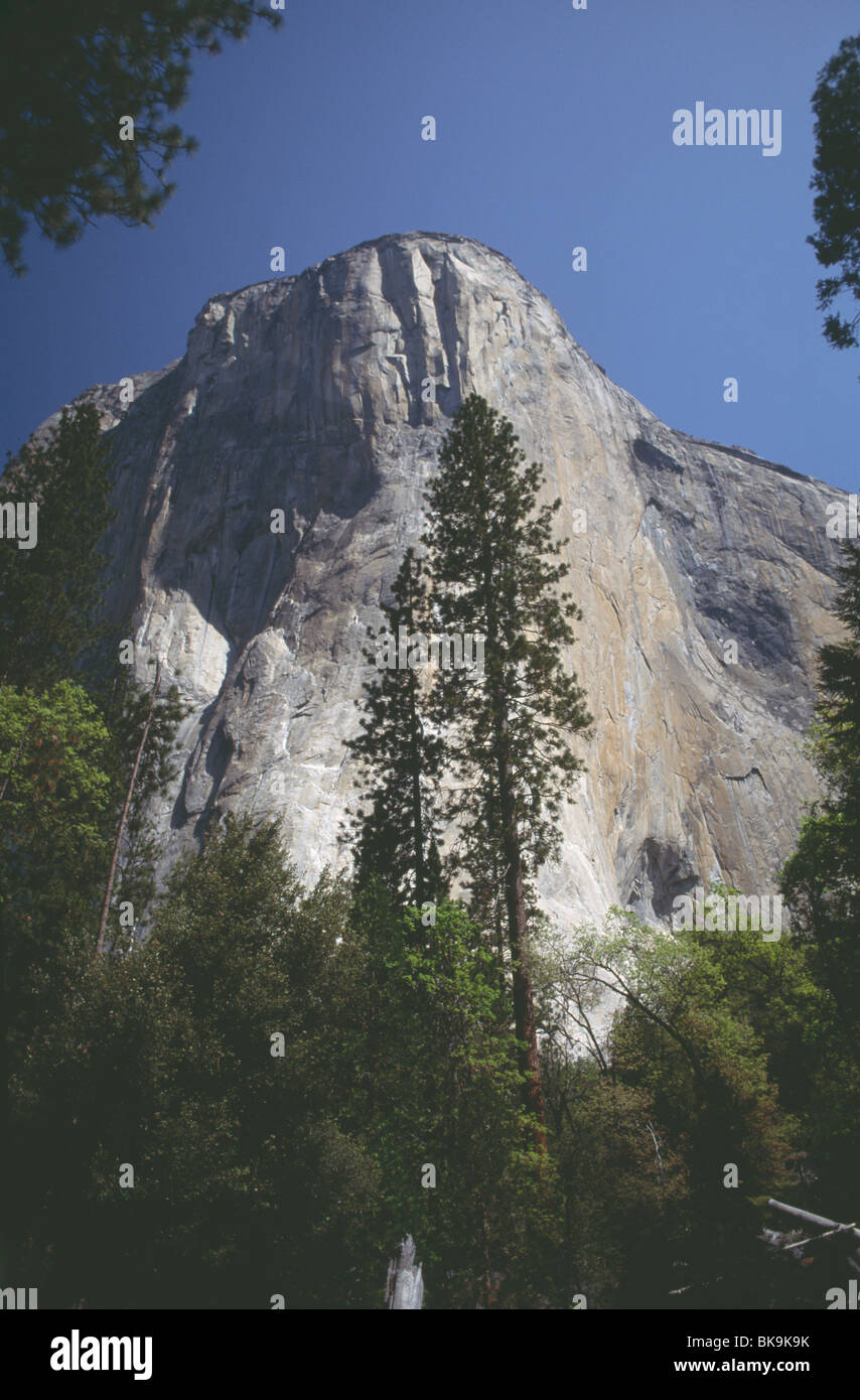 Yosemite National Park, El Capitan mountain, USA, California Stock ...