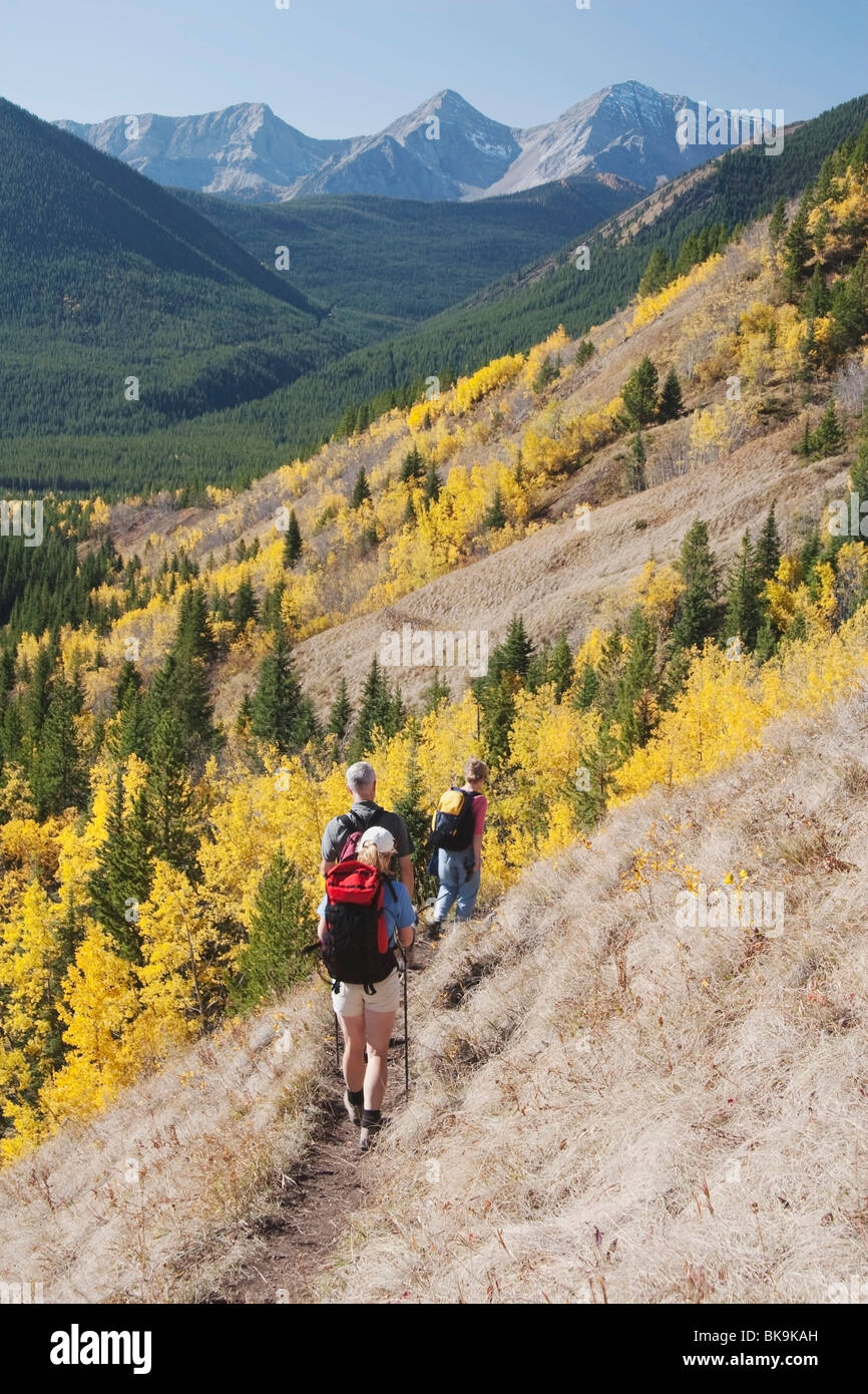 Three Hikers Walking On A Mountain Trail Stock Photo - Alamy