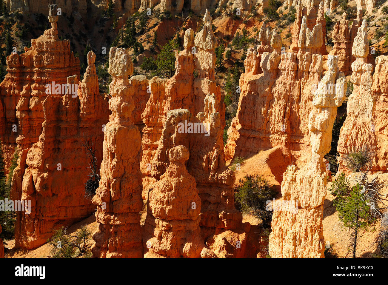 Scenic view "hoodoos" in Bryce Canyon from Fairyland Loop trail, Utah ...