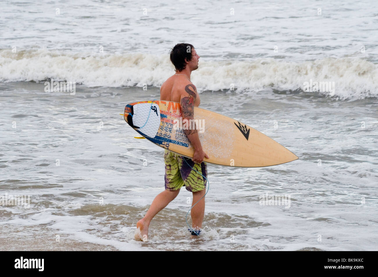 Surfer on the Sunshine Coast, Queensland, Australia Stock Photo - Alamy