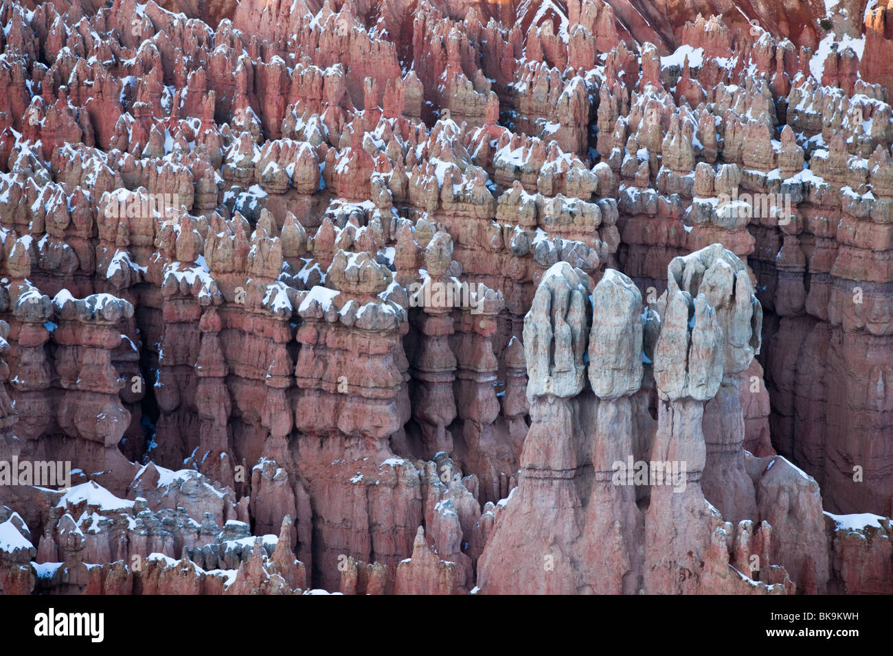 As viewed from Inspiration Point, thin, protruding spires of rock ...