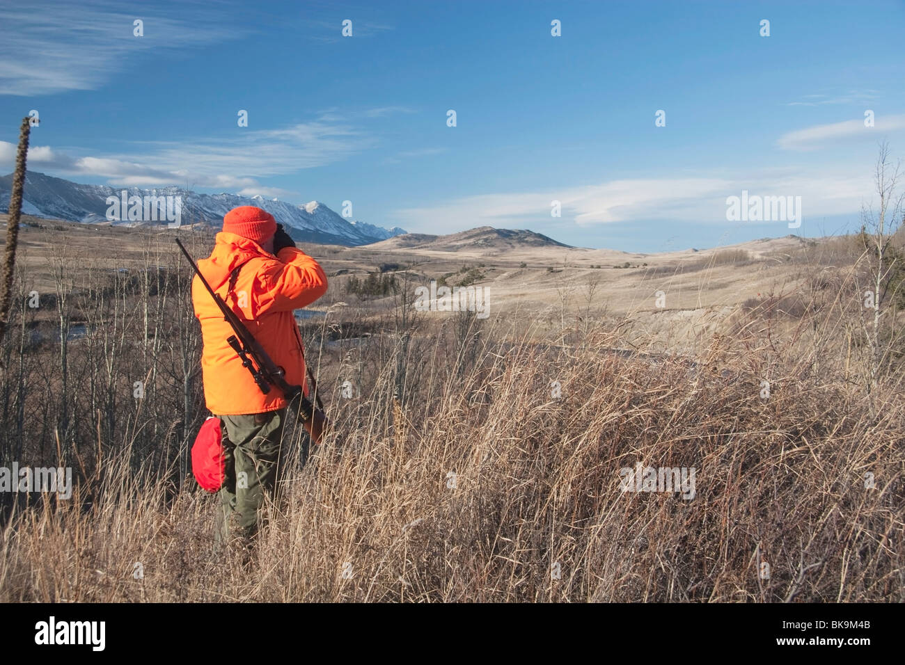 Orange hunting jacket hi-res stock photography and images - Alamy