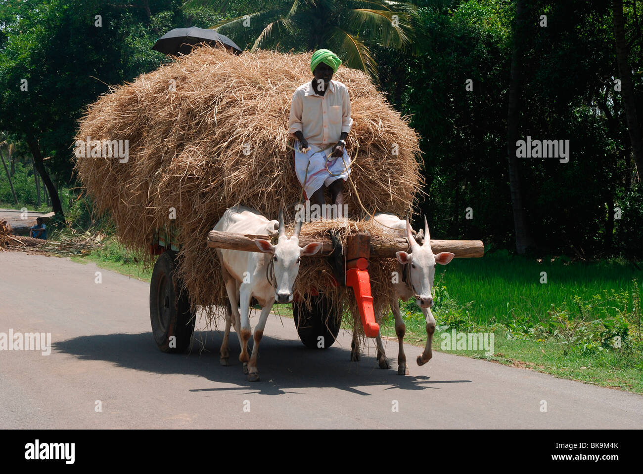hay cart from karnataka ; india Stock Photo - Alamy