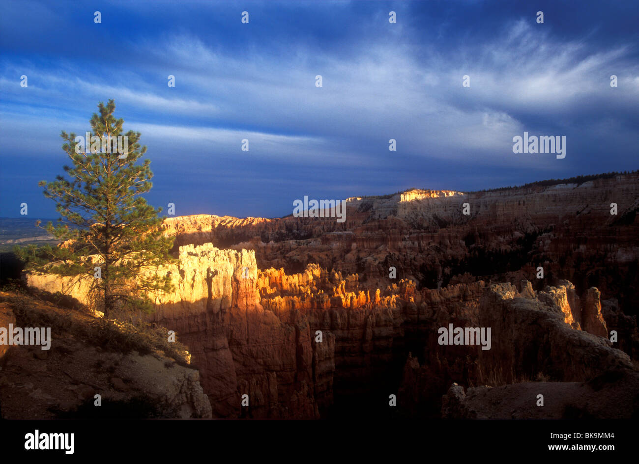Bryce Canyon National Park in Utah taken at sunset from Sunrise Point ...