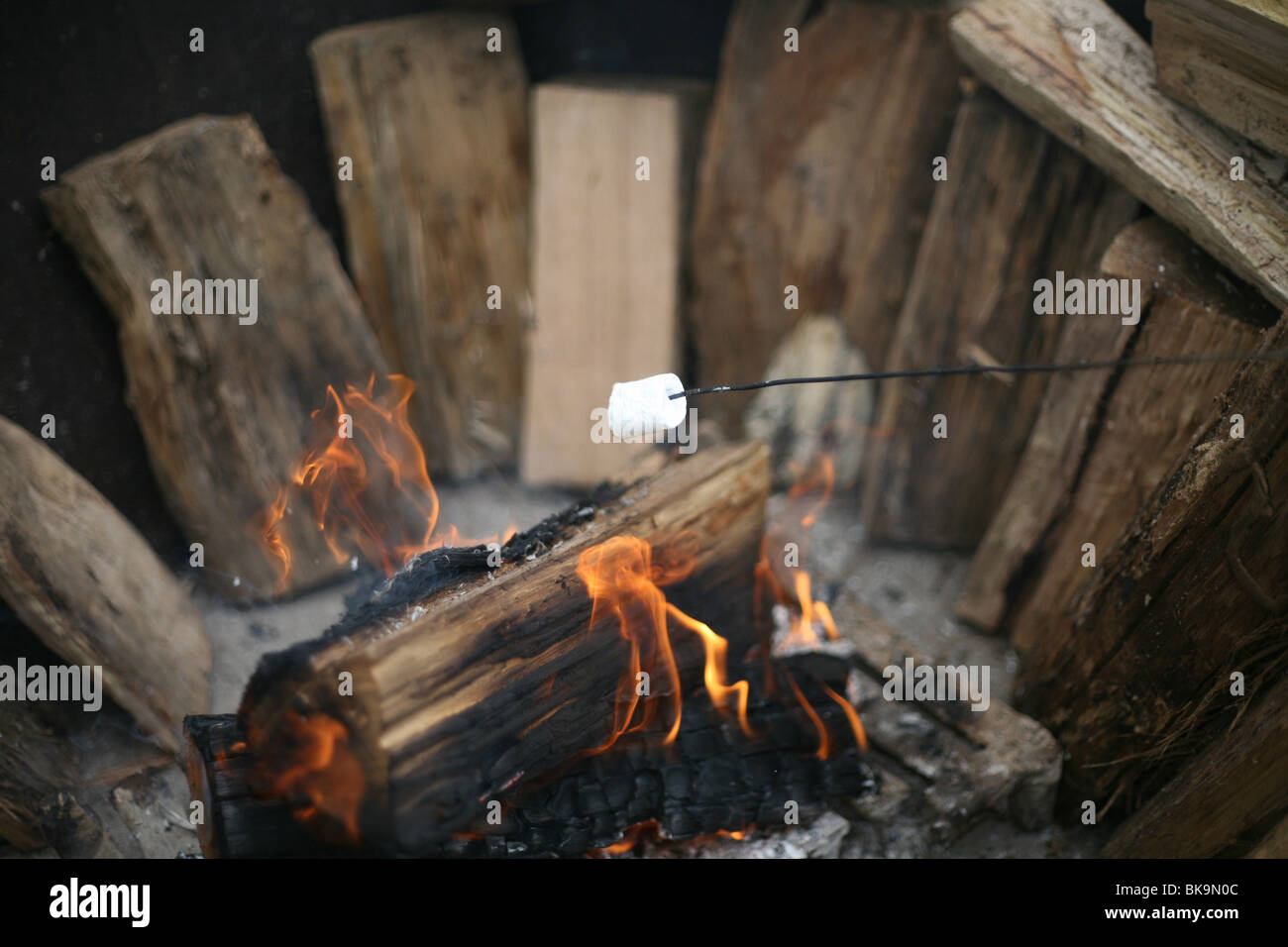 Toasting marshmallows fire hi-res stock photography and images - Alamy