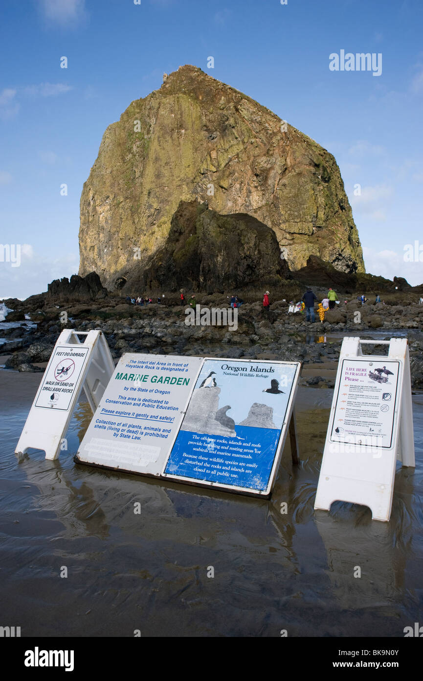 Intertidal zone hi-res stock photography and images - Alamy