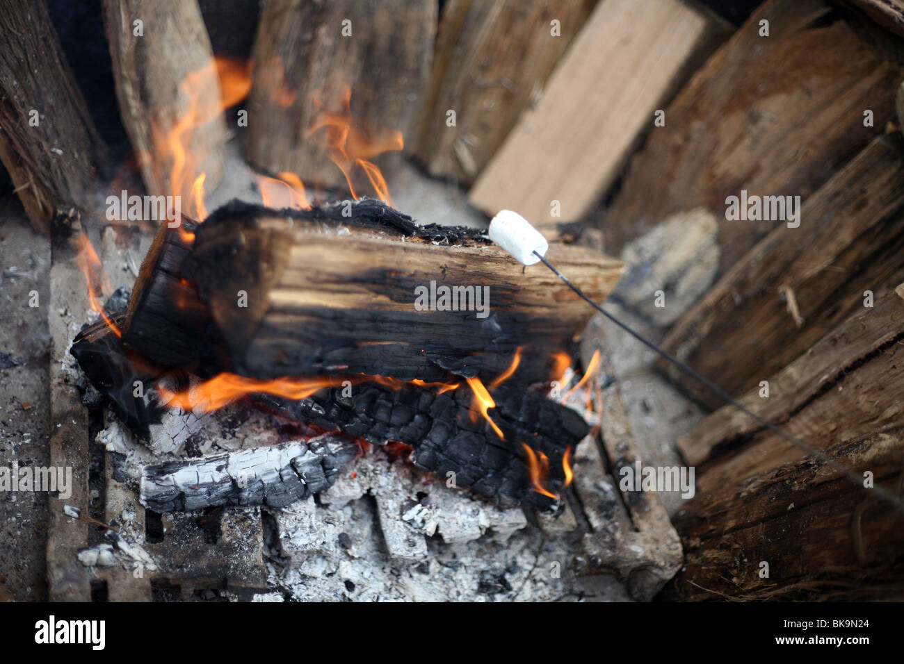 Marsh mellow hi-res stock photography and images - Alamy