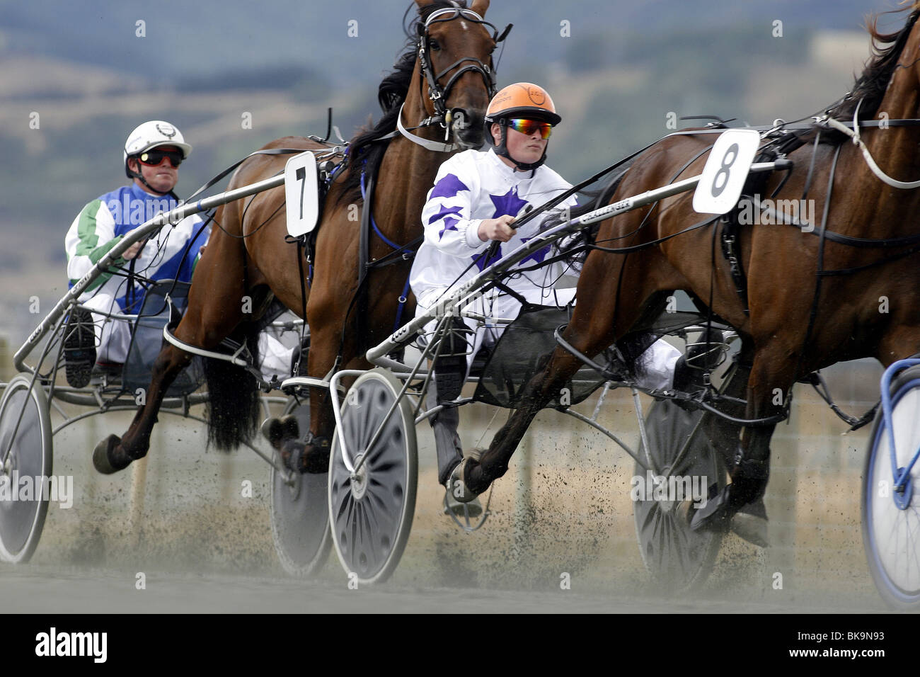 Sulky Drivers High Resolution Stock Photography and Images - Alamy