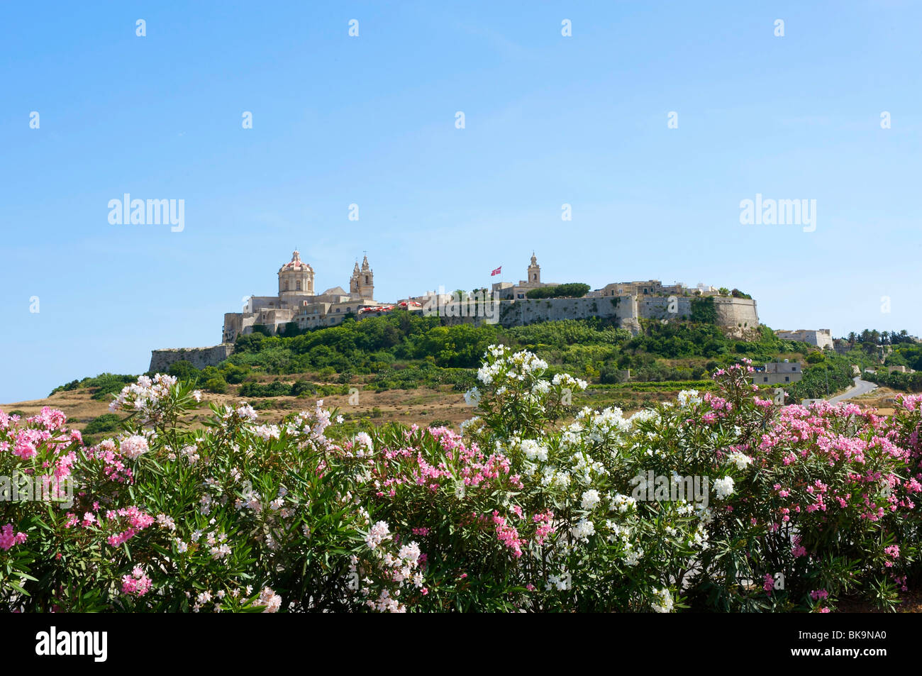 City view of Mdina, Malta, Europe Stock Photo - Alamy