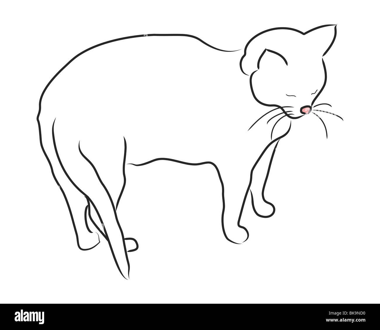 A vector illustration of a sleepy cat standing in the sun Stock Photo ...