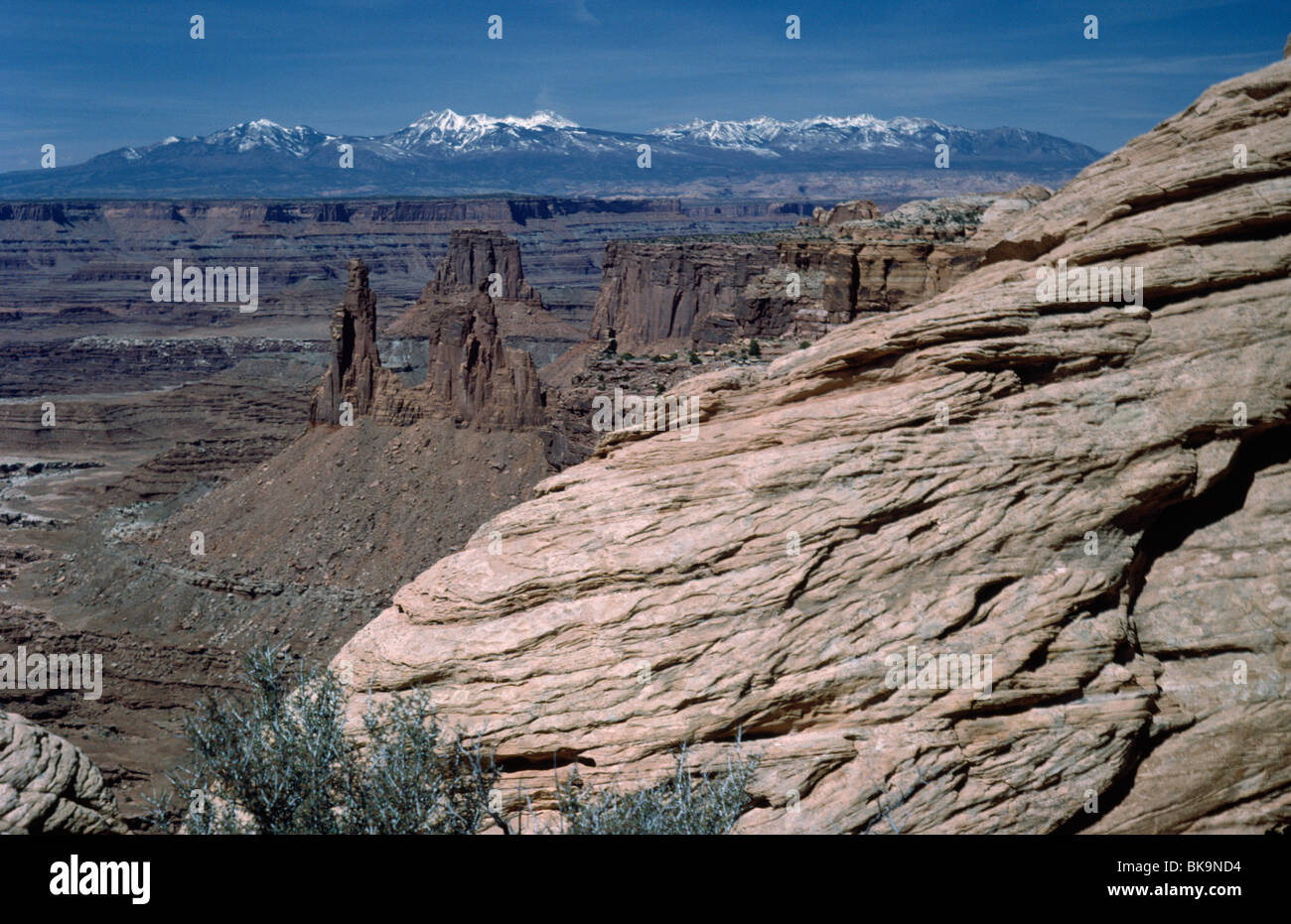Rock formations on a landscape, White Rim, Canyonlands National Park ...