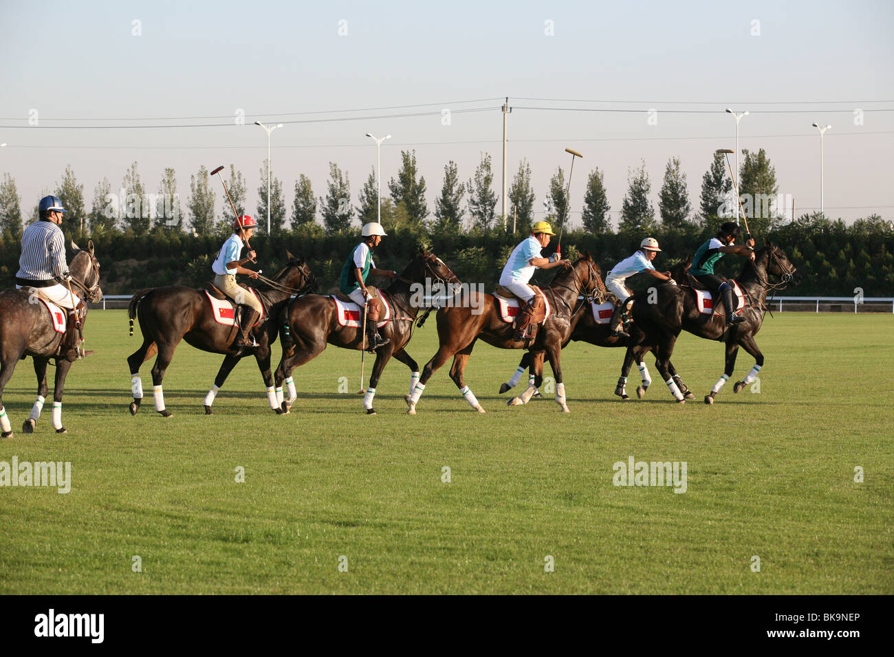 Small racing yard hi-res stock photography and images - Alamy