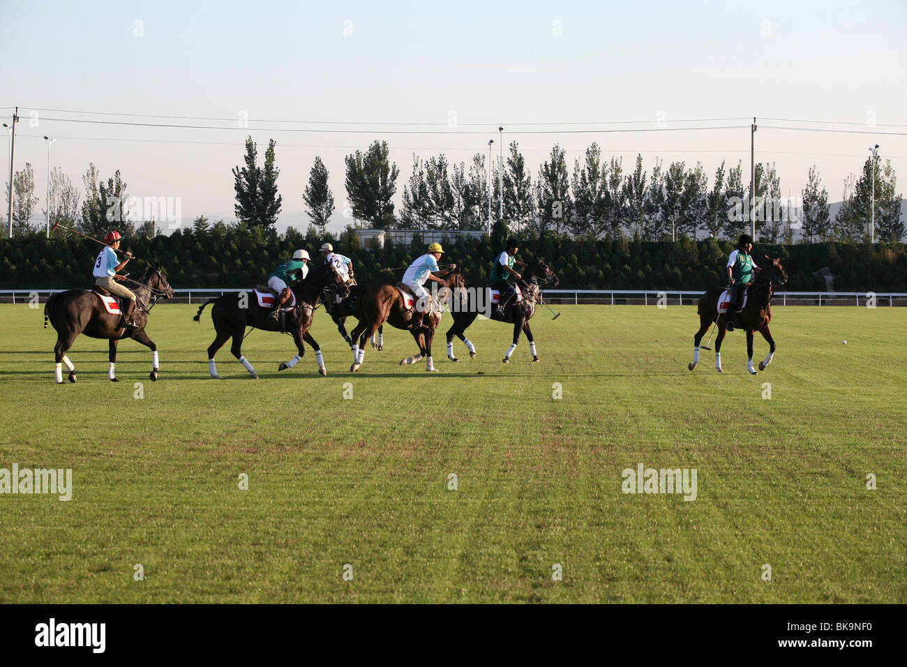Small racing yard hi-res stock photography and images - Alamy