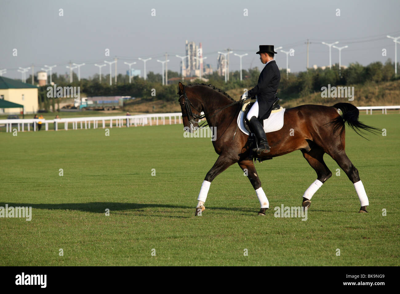 Small racing yard hi-res stock photography and images - Alamy