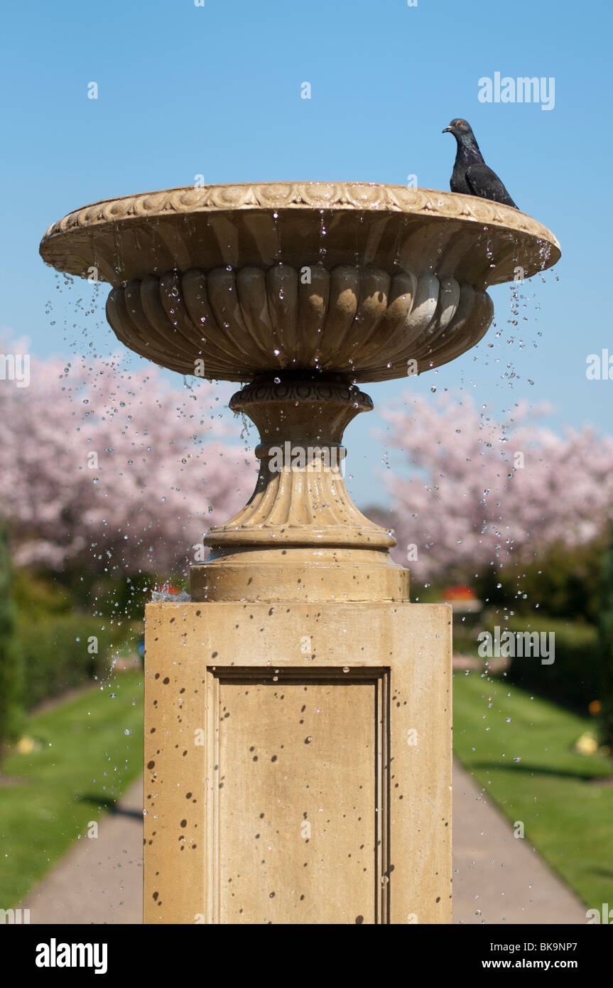 Regents Park Spring Fountain Stock Photo - Alamy