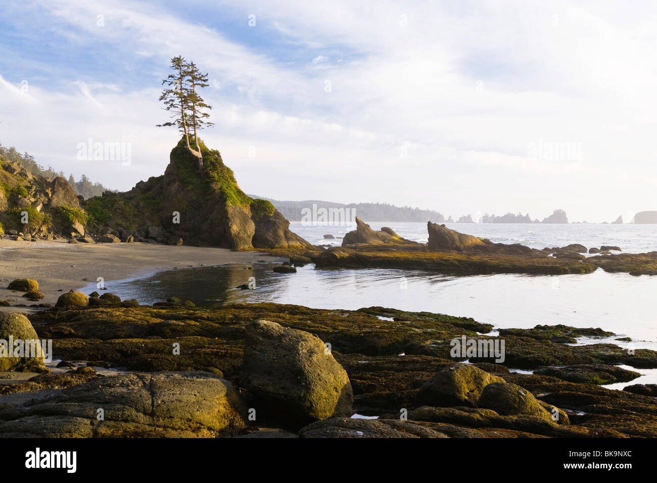 Olympic halbinsel hi-res stock photography and images - Alamy