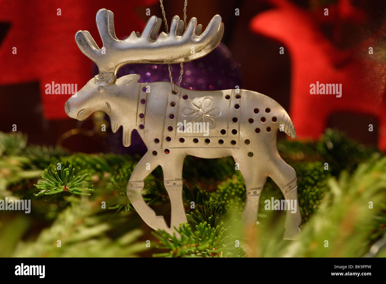 Reindeer at christmas hi-res stock photography and images - Alamy