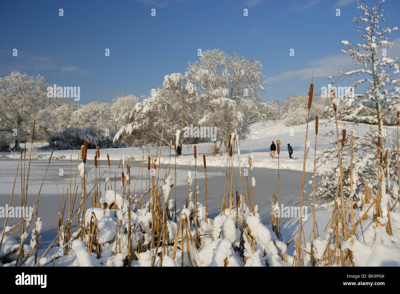 English country scene hi-res stock photography and images - Alamy