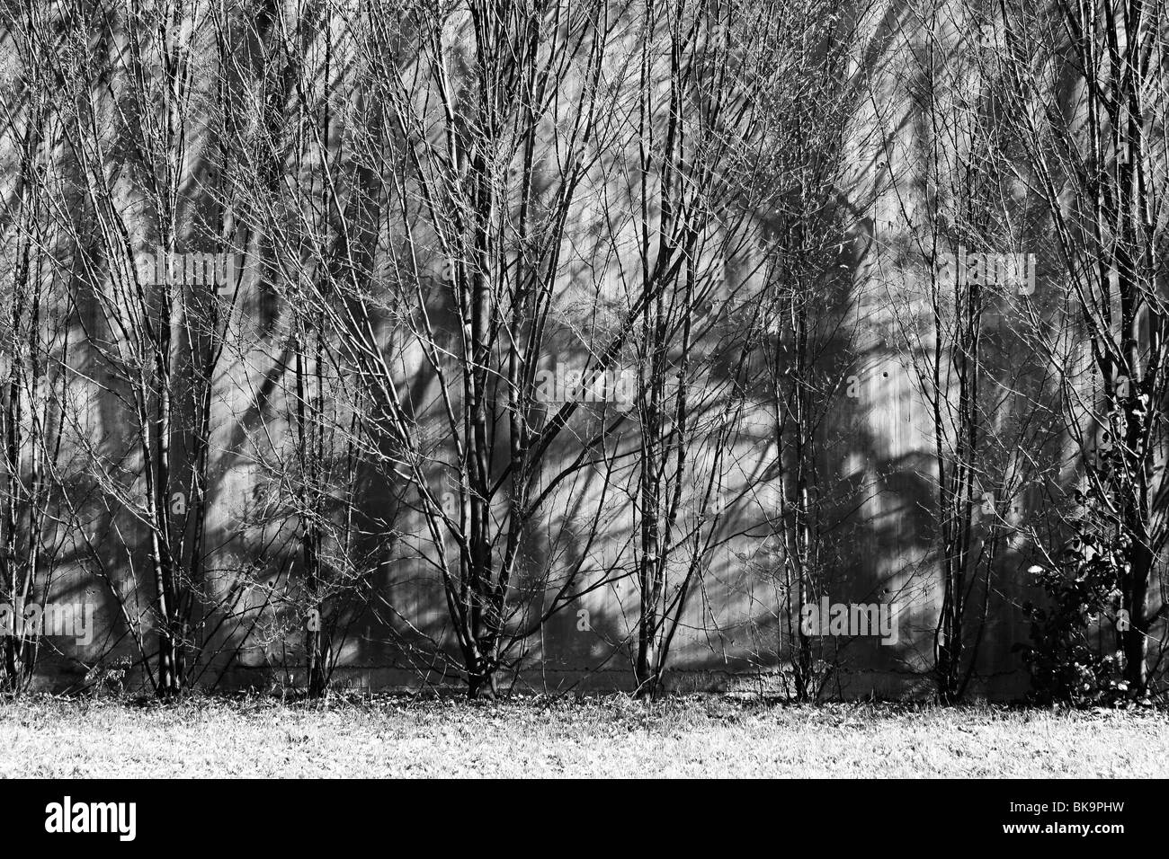 Rows nature Black and White Stock Photos & Images - Alamy