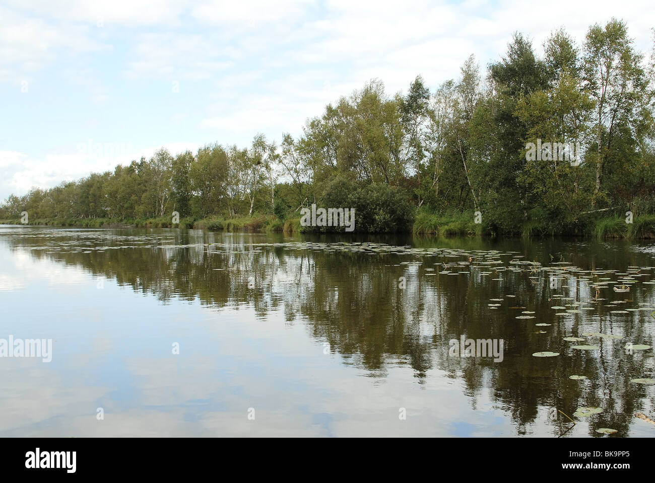 Reflection in perspective Stock Photo - Alamy