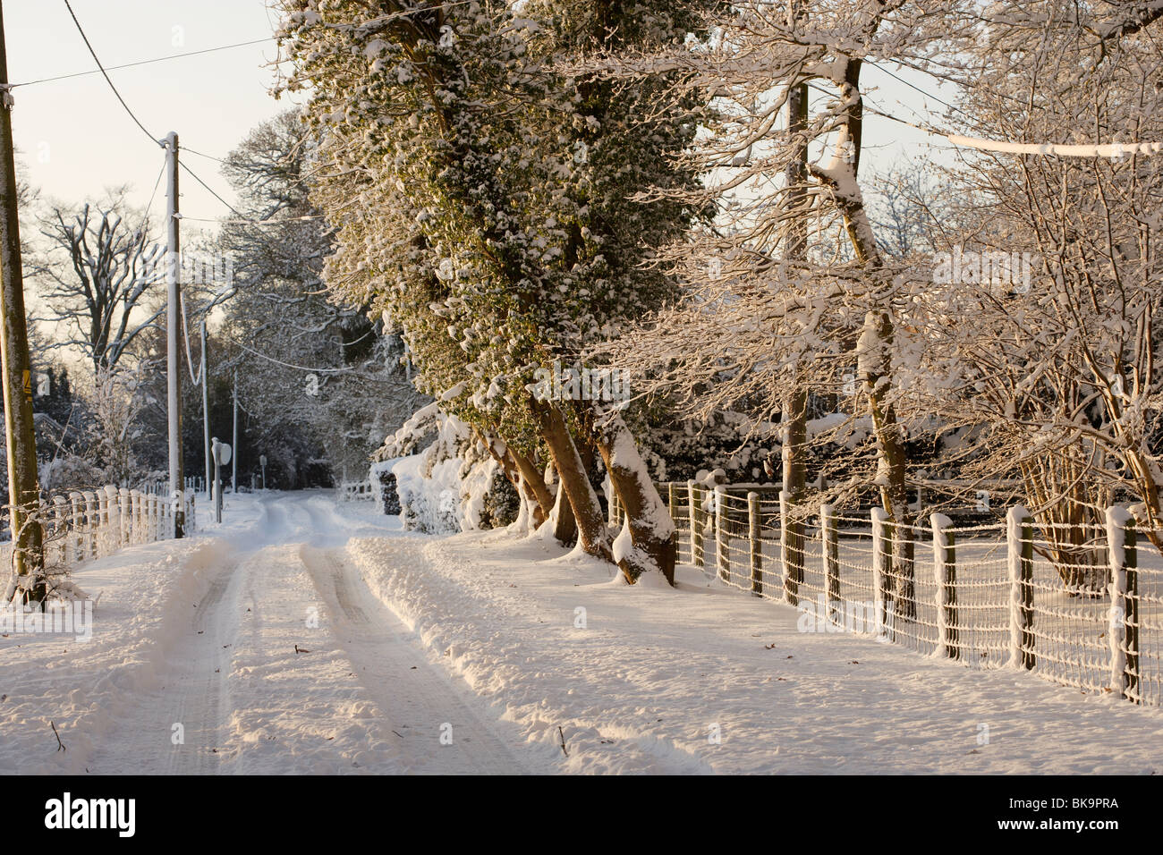 Snowy lane in the country Stock Photo - Alamy
