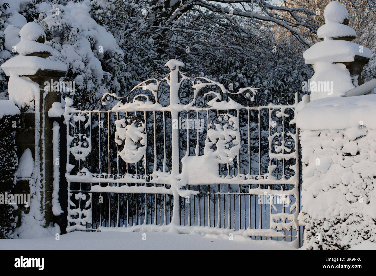 Wrought iron gates in snow Stock Photo - Alamy