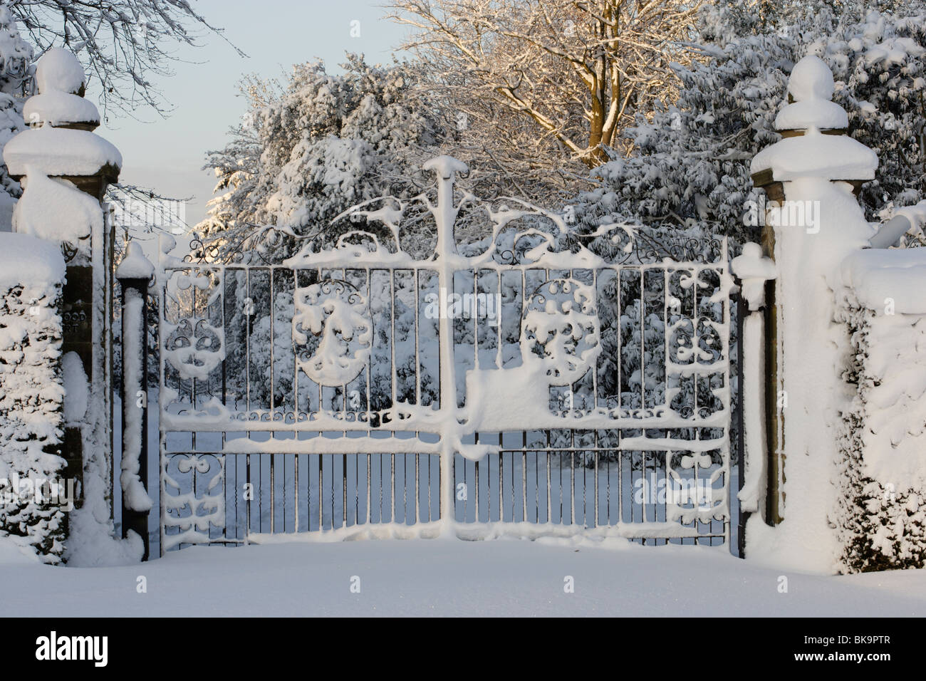 Wrought iron gates in the snow Stock Photo - Alamy