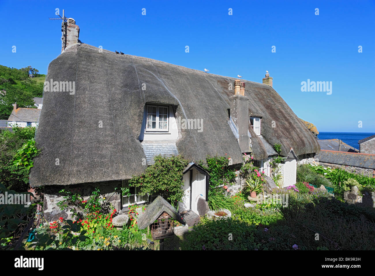 The Lizard Peninsula England High Resolution Stock Photography and ...