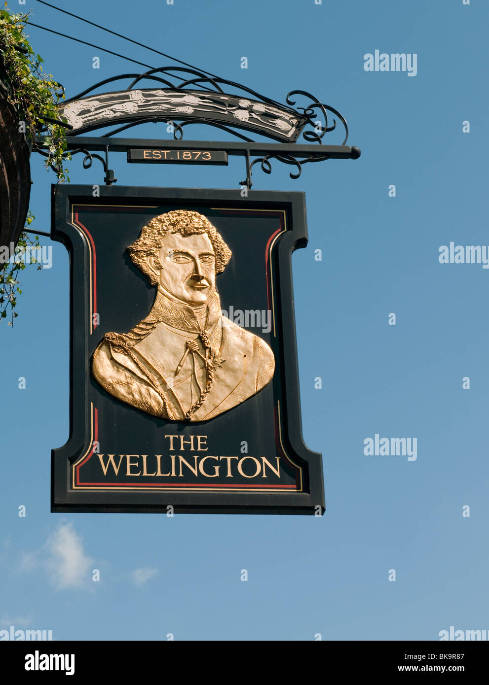 Pub sign of The Wellington Aldwych, london Stock Photo - Alamy