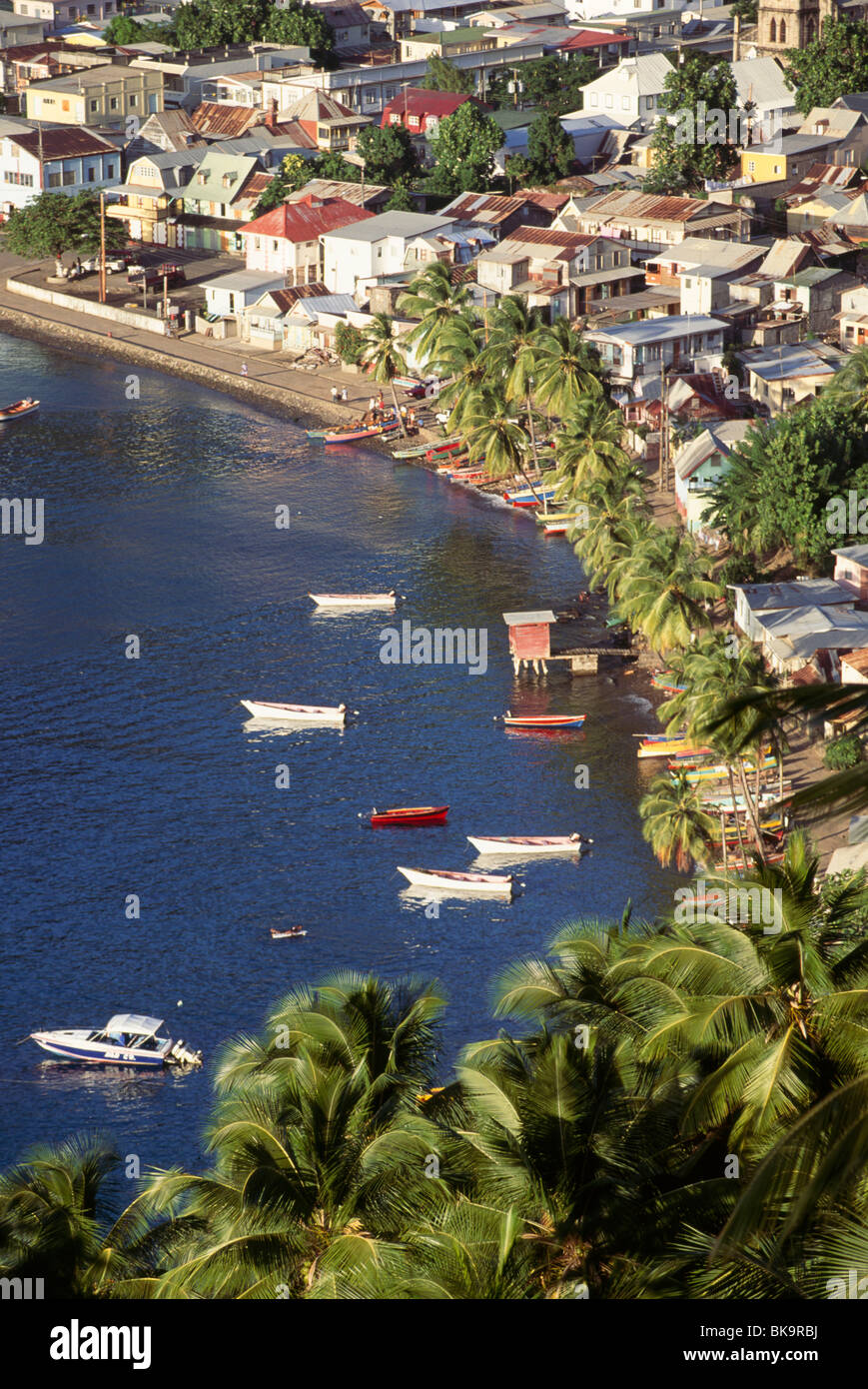 National tree of st lucia hi-res stock photography and images - Alamy