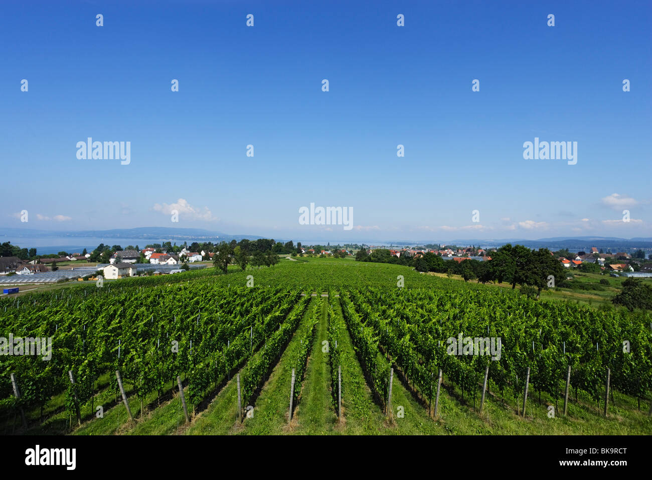 Reichenau germany hi-res stock photography and images - Alamy