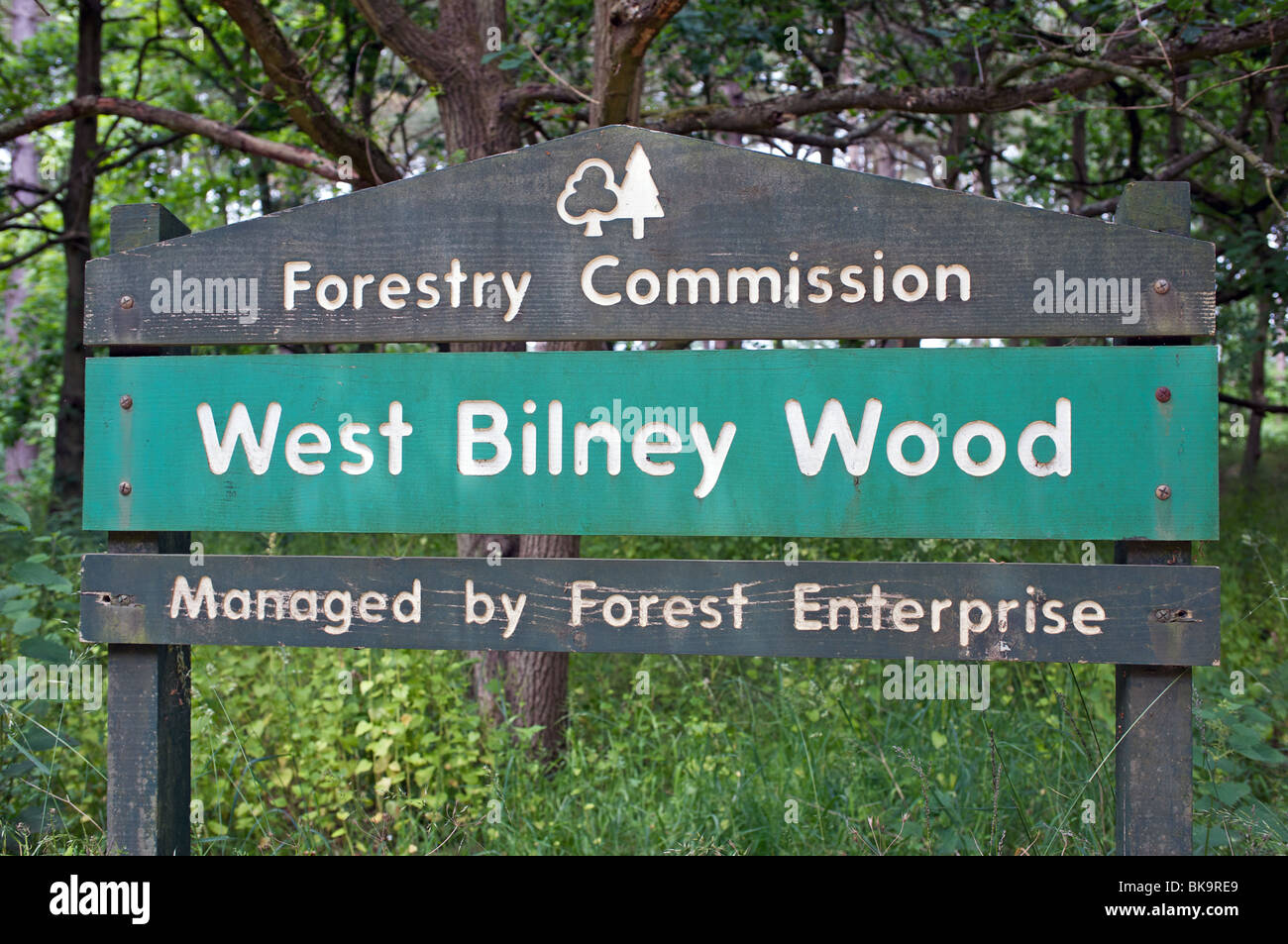 West Bilney Norfolk Houses For Sale at Makayla Sleath blog