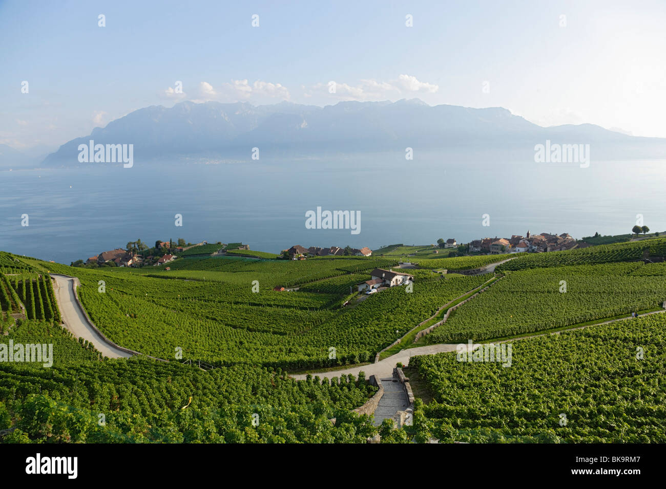 Rivaz village hi-res stock photography and images - Alamy