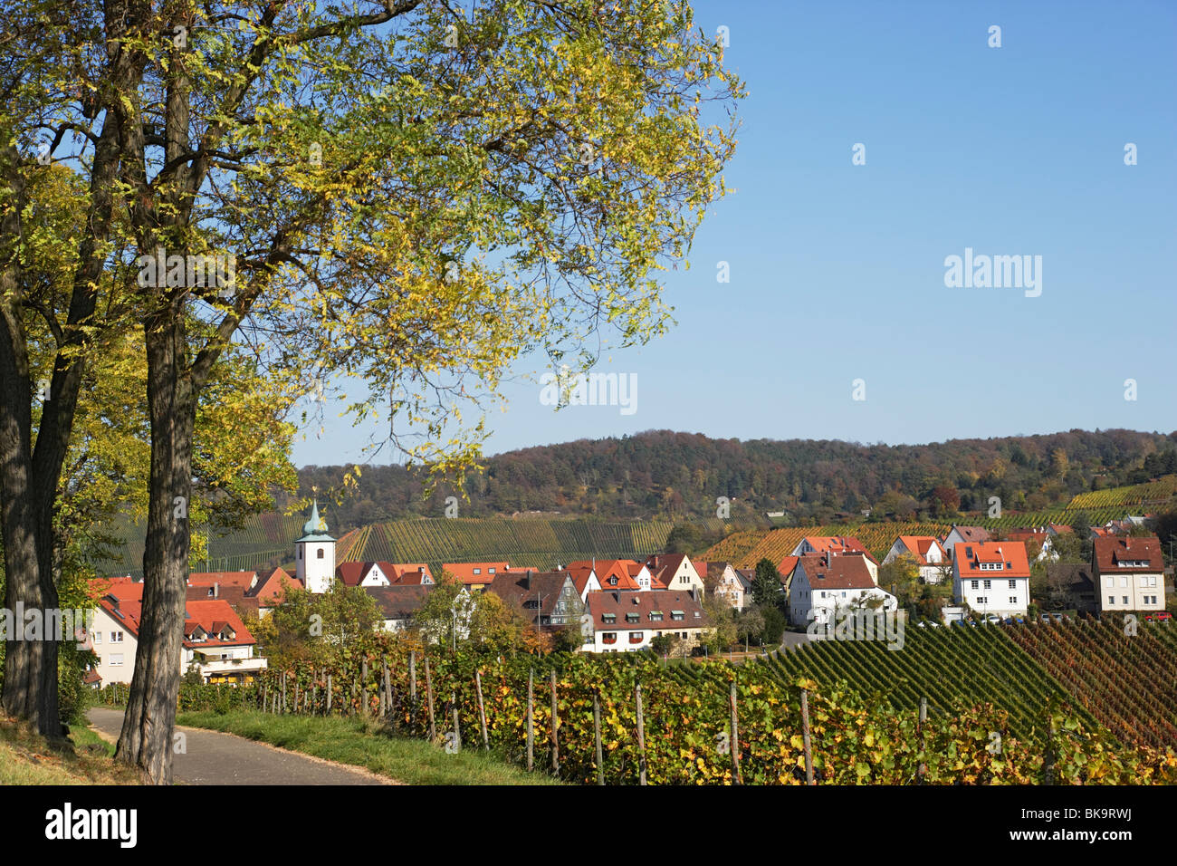 Rotenberg vineyards germany hi-res stock photography and images - Alamy