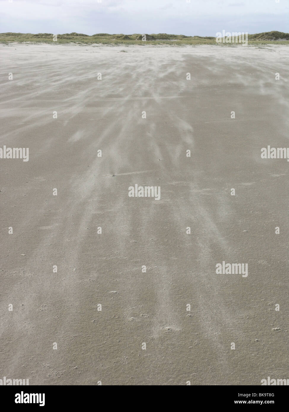 Stuivend zand op het verlaten strand van Schiermonnikoog Stock Photo ...