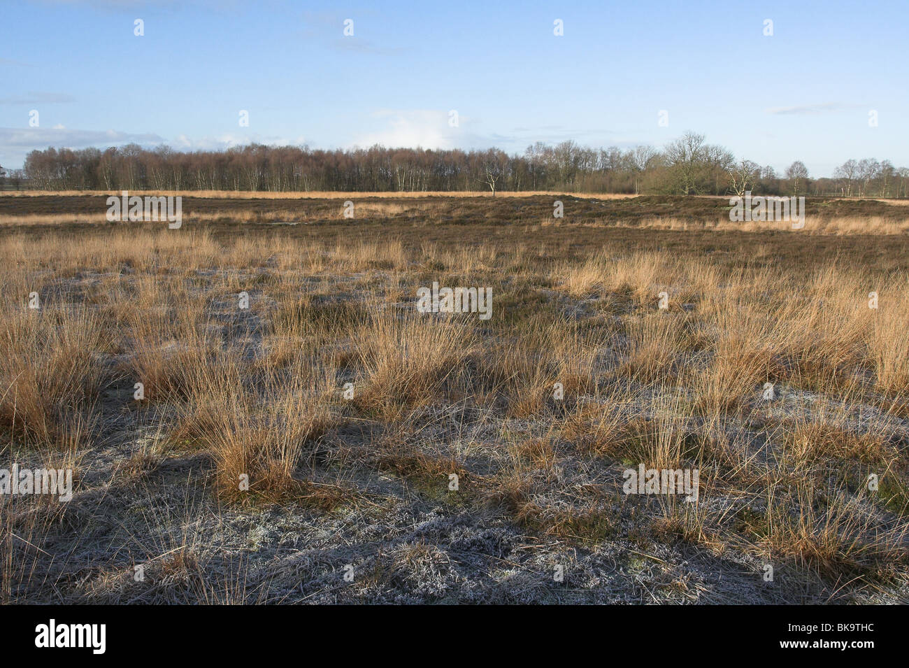 Balloerveld hi-res stock photography and images - Alamy