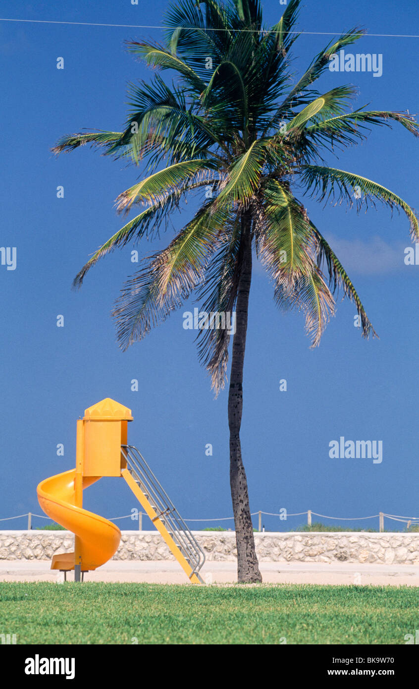 Tree slide hi-res stock photography and images - Alamy