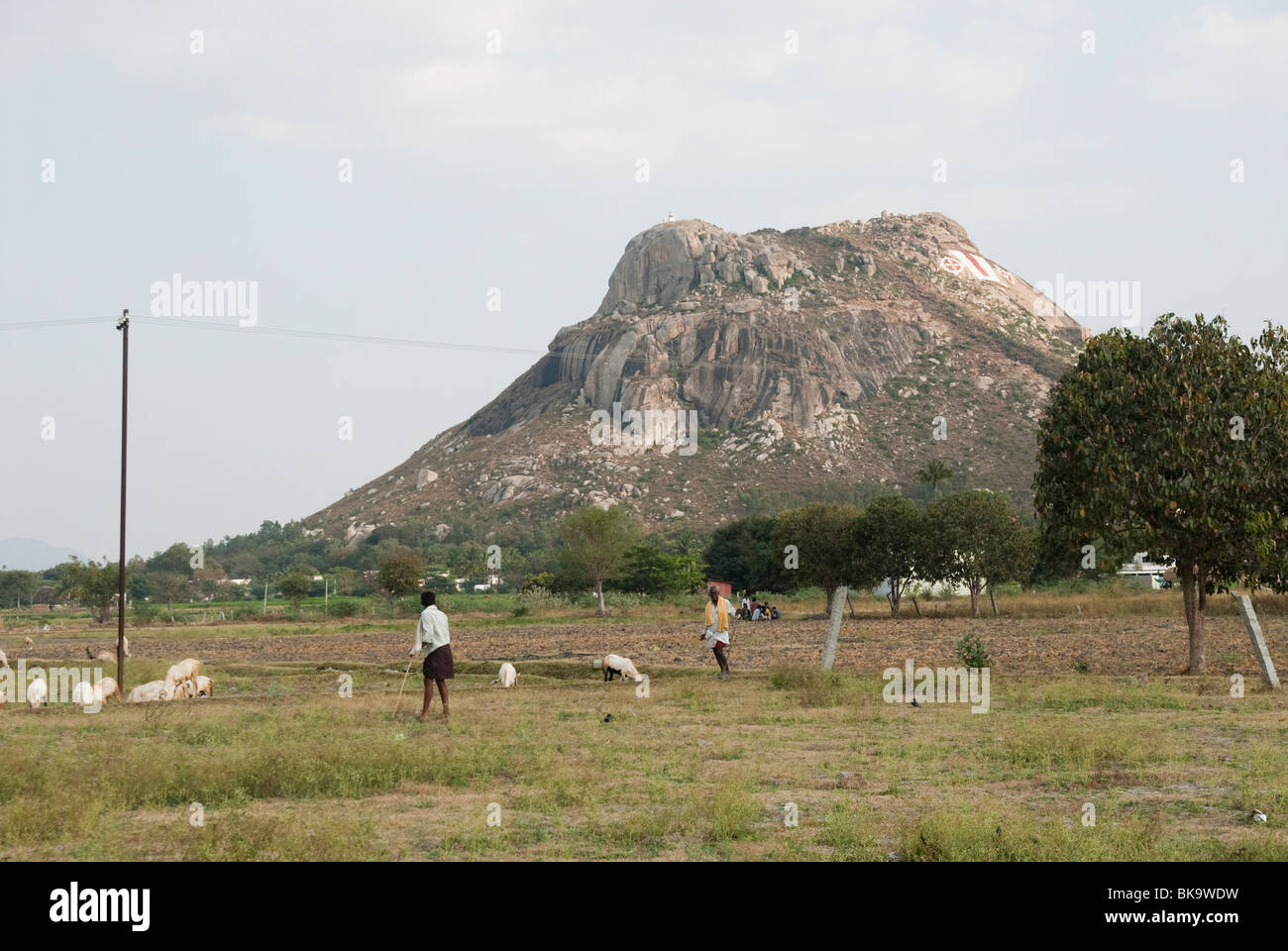 India, Rural landscape Stock Photo - Alamy
